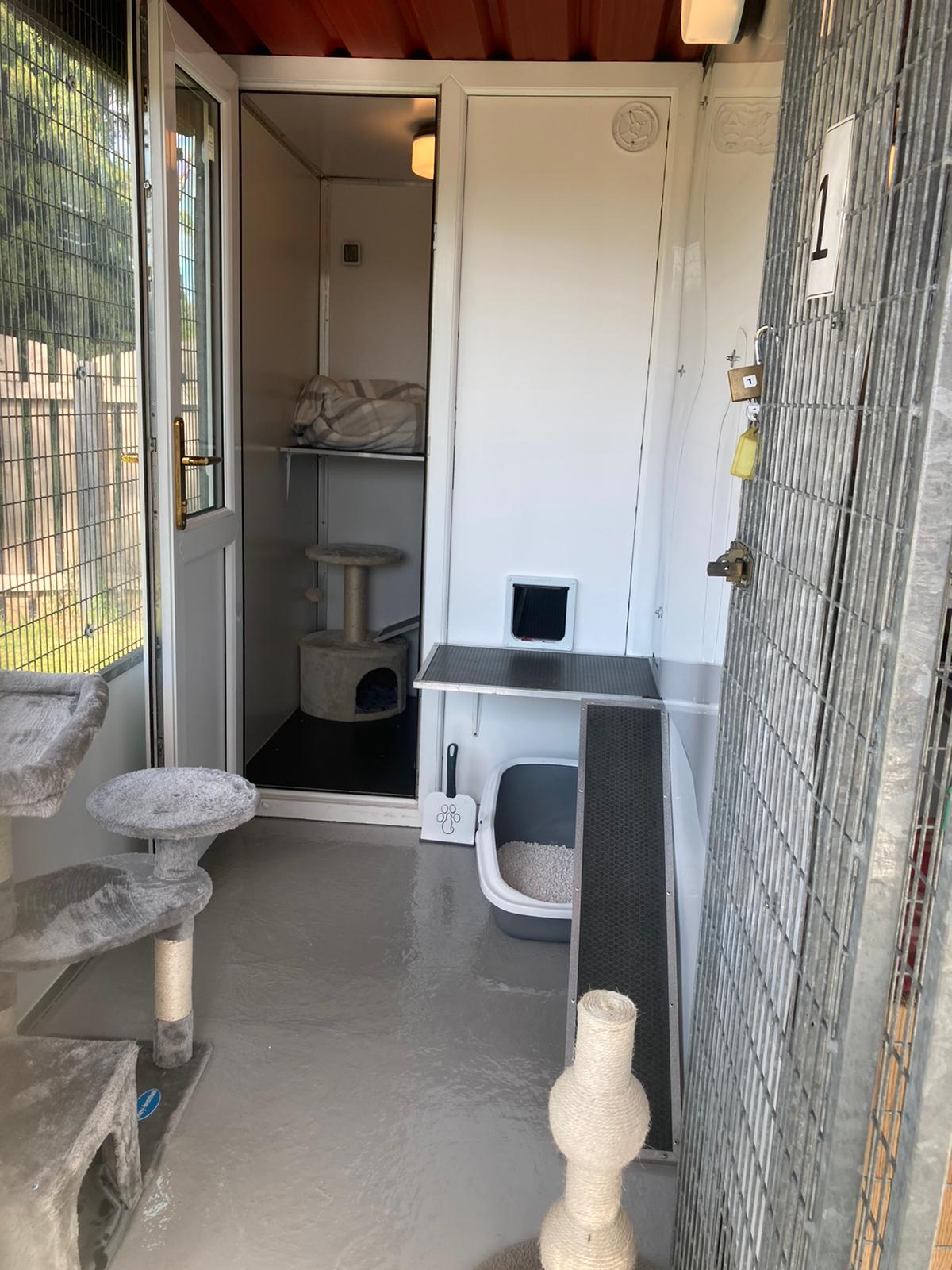Gallery - Cuilhill Cattery